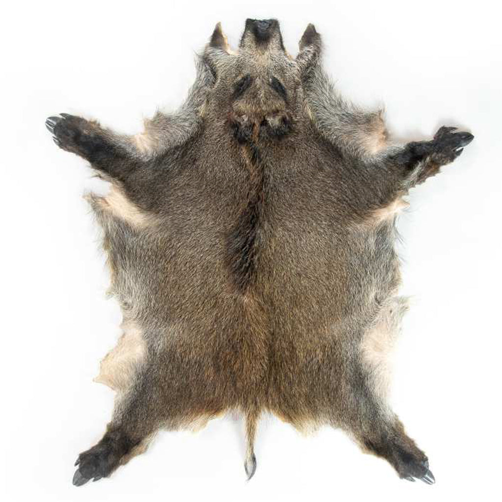 Wild Boar Skin – Grimfrost Intl